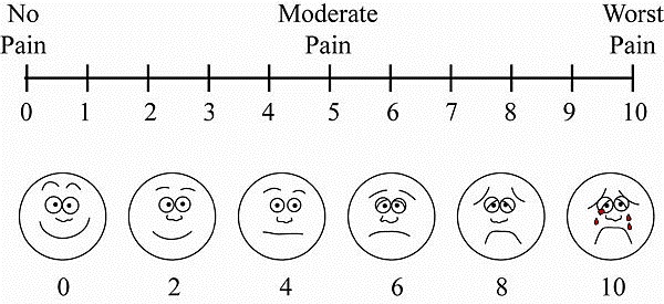 Please rate your pain from 0 to Garden of Gethsemane - The Cultural ...